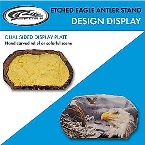 Szco Supplies 11.5” Decorative Eagle Etched Blade Outdoor Hunting Knife with Display Relief Art/Printed Antler Stand