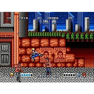 Double Dragon (Sega Genesis) - Reproduction Video Game Cartridge