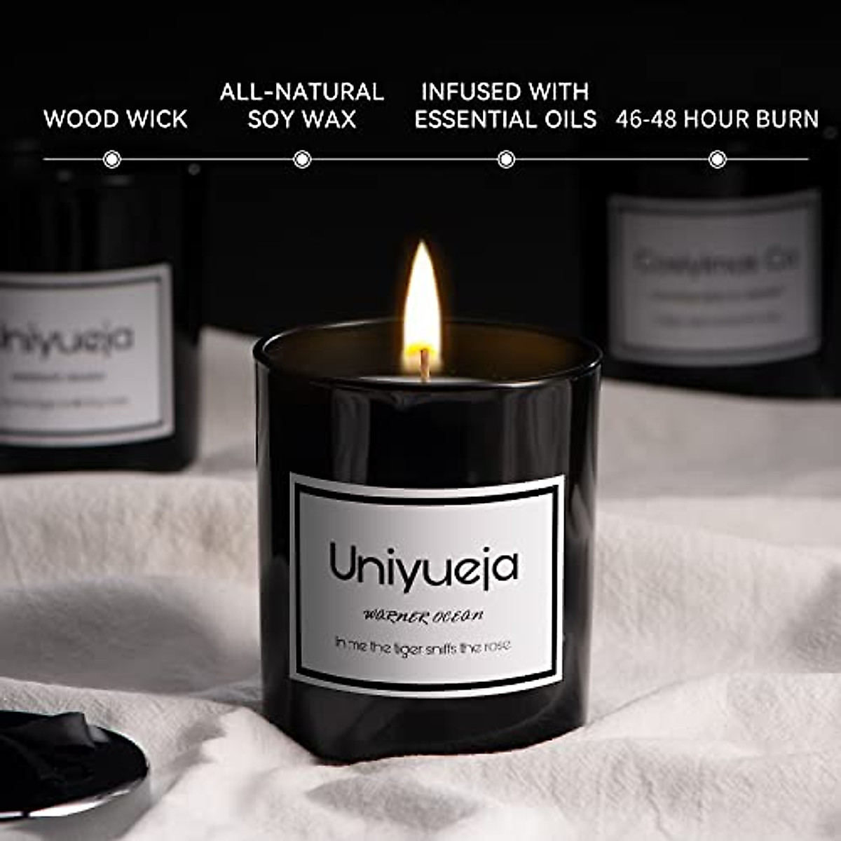 Scented Candles for Men— Candle for Men | Soy Candles for Home Scented | 8 oz 46-48 Hour Burn | Masculine Candle Black Jar | Father's Day Gifts(Warner Ocean) Valentines Day Gifts for Him