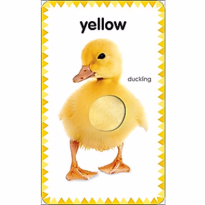 My First Touch and Feel Picture Cards: Colors and Shapes (My First Board Books)