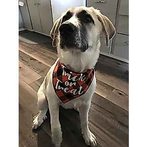Halloween Dog Bandana -Orange Plaid Pet Scarf