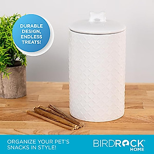 BIRDROCK HOME Large Dog Treat Container Jar | Holds 7 Cups | Durable White Ceramic Canister with Airtight Seal & Bone Handle Lid | Ideal for Kitchen Counter or Pantry Storage | Pet Food Safe | 9" x 5"