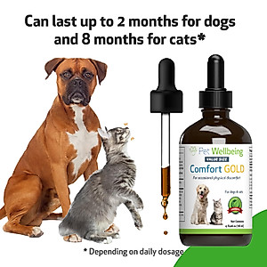 Pet Wellbeing Comfort Gold for Dogs - Supports Canine Physical Comfort, Healthy Circulation, Corydalis, Turmeric - Veterinarian-Formulated Herbal Supplement 4 oz (118 ml)