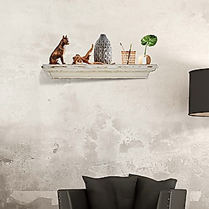 DQ DQ HOME DECOR Cheyenne Wall-Mount Display Shelf, Wall Shelves Organizer for Bedrooms, Hallways, Stairways, Entryways, Kitchens, and Bathrooms, Distressed White 36IN