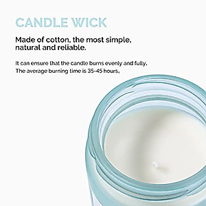 MelodySusie Candles for Home Scented, Candles for Home Spa Manicure,4 Pack Natural Soy Wax Blend Essential Oil Candle Gifts for Women and Men, Home Air Fresh and Relaxation(Coconut Fragrance)