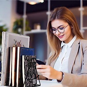 Goiio 1 Pcs Triangle File Holder, 5 Slot Metal Magazine Holder, for Office Home, Black