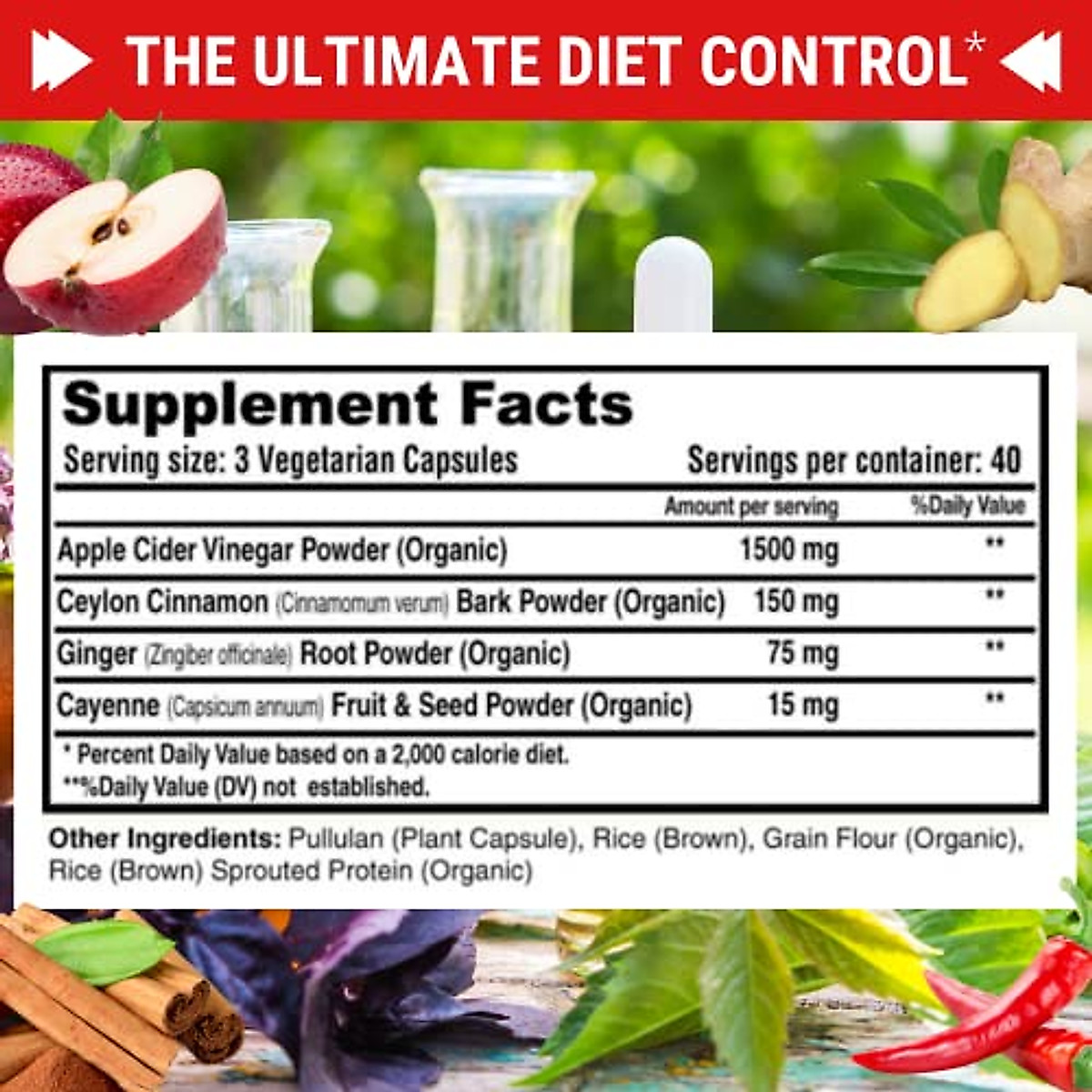 Apple Cider Vinegar Capsules Max 1740mg with Mother - 100% Natural & Raw with Cinnamon, Ginger & Cayenne Pepper - Ideal for Healthy Living, Detox & Digestion -120 Vegan Pills