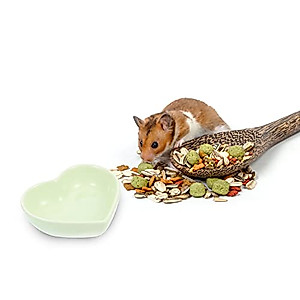 TEHAUX 3Pcs Ceramic Pet Bowls Heart Shaped Food Bowls for Cats Cute Hamster Food Containers Washable Hamster Feeder Bowls for Rabbit Guinea Pig Gerbil Hamster Chinchilla ( Pink+ Green+ Blue )