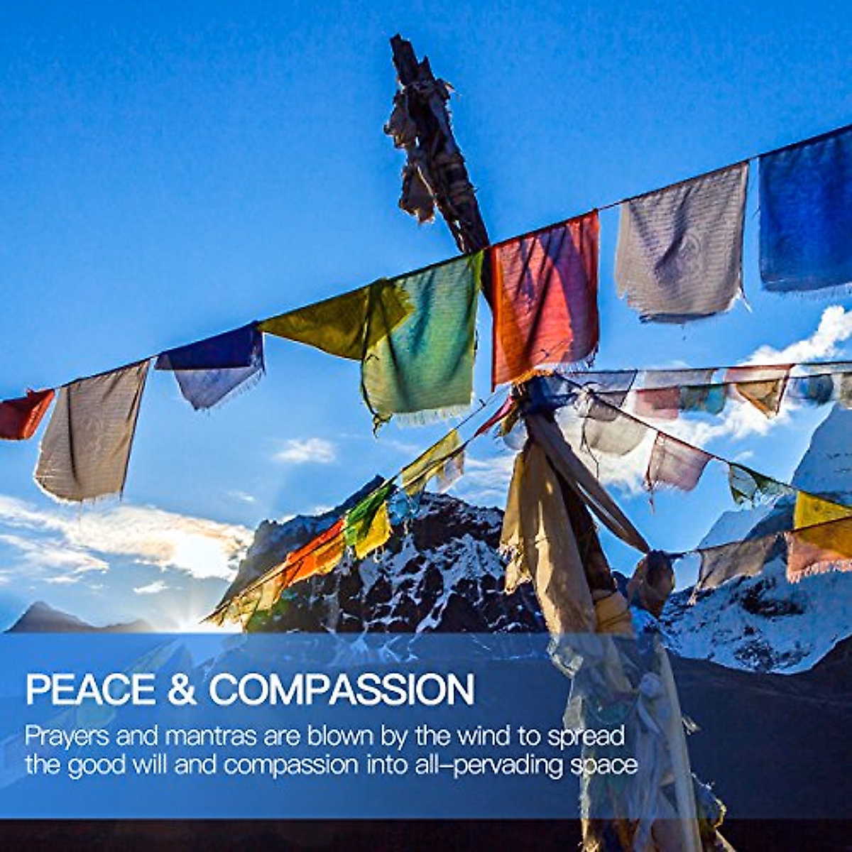 Anley Tibet Buddhist Prayer Flag – Traditional Five Elements - Horizontal Wind Horse Design (10” x 10”) - 25 flags & 23 feet