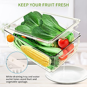 Yustuf 10-pack Stackable Refrigerator Organizer Bins with 6 Liners, Fridge Organizers and Storage Clear with Lids Plastic Fruit Vegetable Storage Containers with 5pcs Sealing Clips