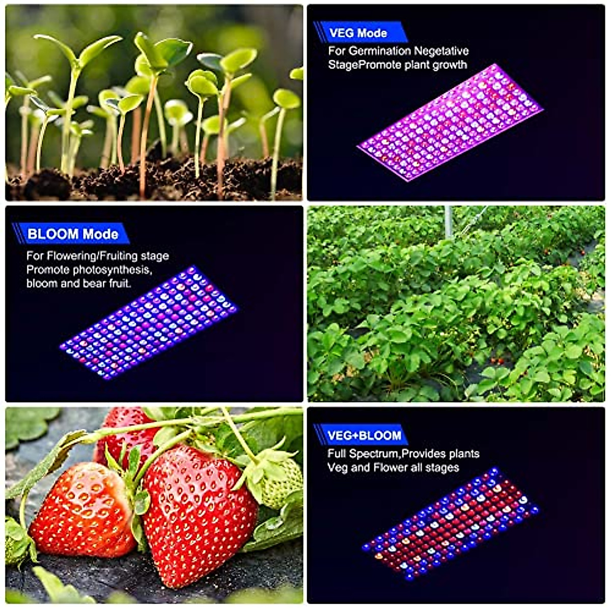 WZDRAGON 2024 Newest BW1000 LED Grow Lights Double Chips Full Spectrum for Greenhouse and Indoor Plant Veg and Flower Growing [White]