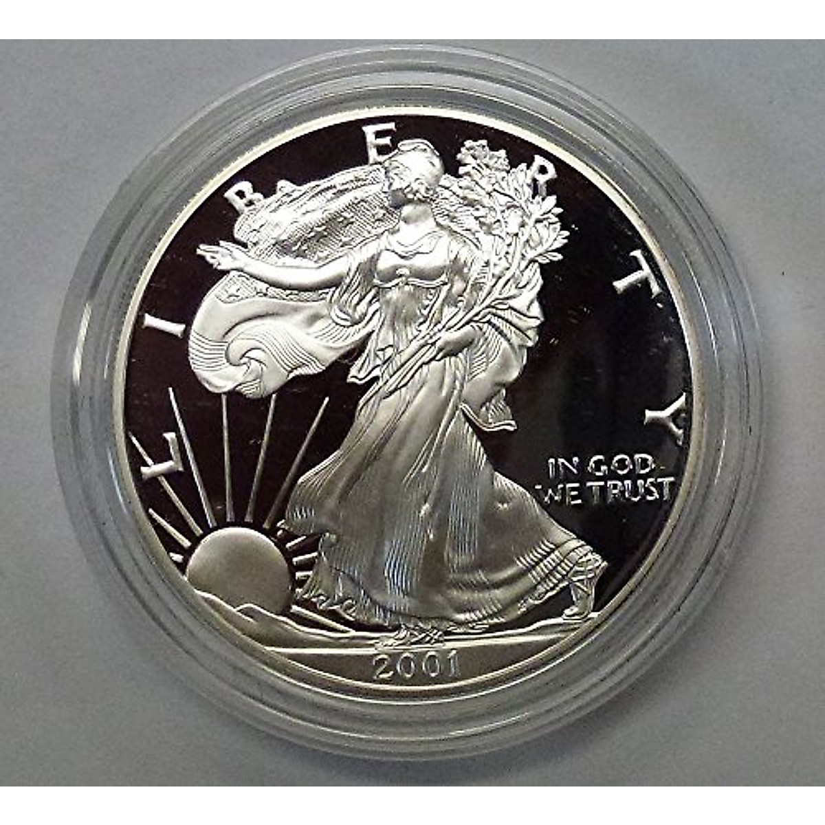 2001 W American 1 oz Silver Eagle Dollar PROOF US Mint