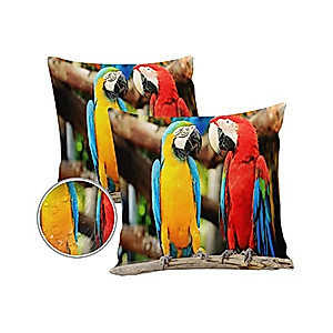 Pack of 2 Outdoor Waterproof Pillow Covers 24x24 inch Wild Animal Parrot with Colorful Feather on The Branch Throw Pillow Covers Decorative Cushion Covers for Patio Garden Tent
