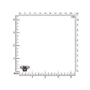 Silvershake 3.13 CTW 10X8mm Natural Octagon Shape Smoky Quartz White Gold Plated 925 Sterling Silver Filigree Leaf Solitaire Gemstone Ring Size 8