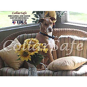 CollarSafe 3/4" Wide NYLON Replacement Collar w/Heavy Duty Buckle - FITS PetSafe PIF-275, Microlite & Many Other Modules Requiring 2-Holes 1-3/16” Apart to Attach - PLS Read Listing - View Photos