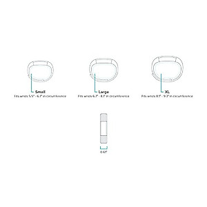 Fitbit Alta Fitness Tracker, Silver/Plum, Small (5.5 - 6.7 Inch) (US Version)