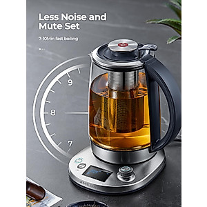 Tea Kettle Electric, AMEGAT Tea Pot with Removable Infuser, 9 Preset Brewing Programs Tea Maker with Temperature Control, 2 Hours Keep Warm, 1.7L Electric Kettles, 1200W, Glass and Stainless Steel