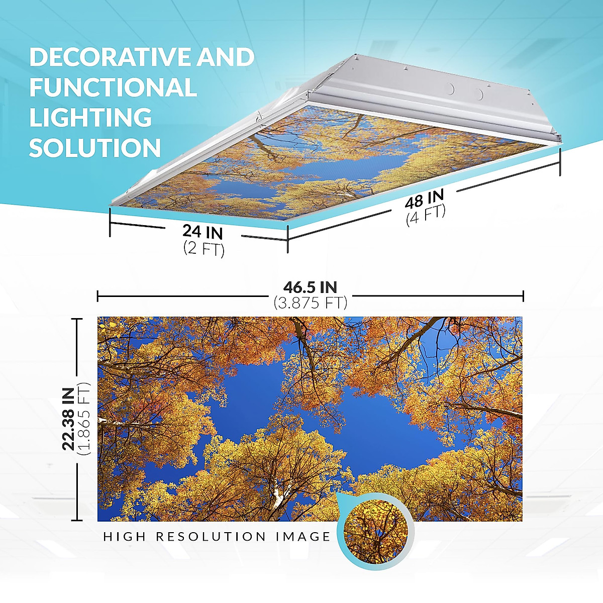 Octo Lights Fluorescent Light Covers for Ceiling Lights Classroom 2x4 (22.38in X 46.5in) Improve Focus, Eliminate Headaches, Provide Florescent Light Relief - Tree 010