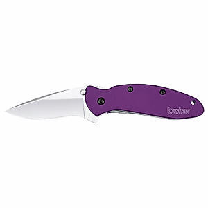 Kershaw Purple Scallion Pocket Knife, 2.25” Stainless Steel Blade with Assisted Opening, Aluminum Handle with Single-Position Pocketclip, Small Folding Knife