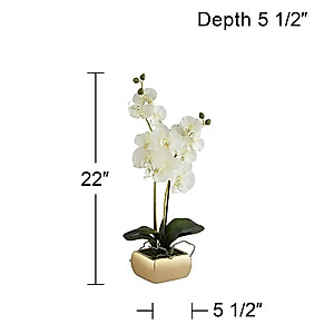 Dahlia Studios Potted Silk Faux Artificial Flowers Realistic White Phalaenopsis Orchid Greenery in Gold Ceramic Pot for Home Decoration Living Room Office Bedroom Bathroom Kitchen 22" High
