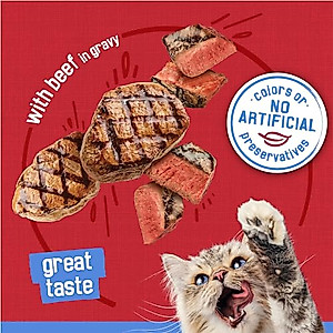 Purina Friskies Gravy Wet Cat Food, Shreds With Beef in Gravy - (Pack of 24) 5.5 oz. Cans