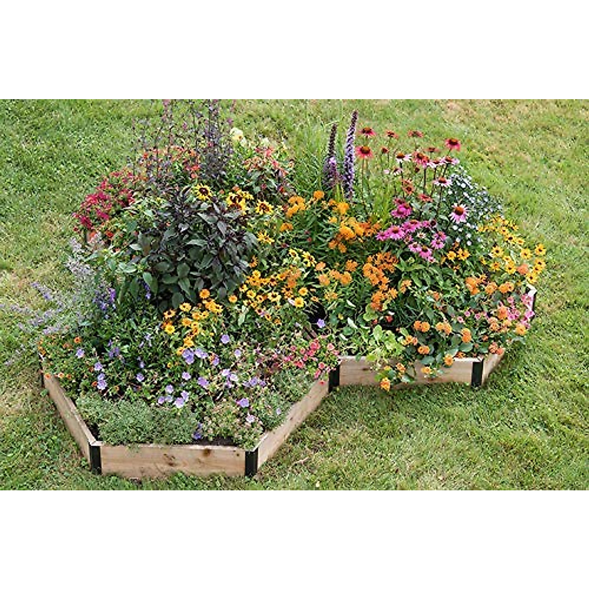 Monarch Butterfly Garden Kit -28 Species of Perennial Milkweed and Wildflower Seeds - If You Grow it Monarchs Will Come - Kids STEM Project - Create a Beautiful Garden Full of Butterflies