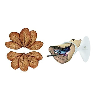 SunGrow Saver Bundle Pack - Catappa Leaves 10Pcs/Pack + Large Leaf Hammock