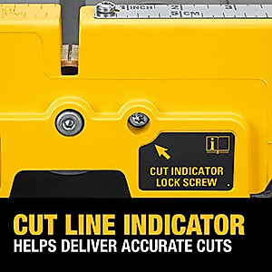 DEWALT Wet Tile Saw with Stand, 10-Inch, Corded (D24000S)