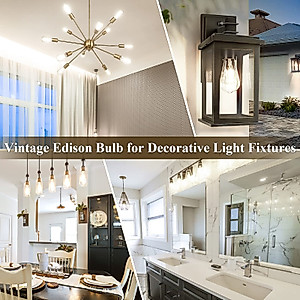 DiCUNO LED Edison Bulb 60 Watt Equivalent, Daylight White 4500K, Dimmable Edison Bulbs ST64, Antique LED Filament Bulb for Kitchen Lighting, 800 LM, Clear Glass, Pack of 4