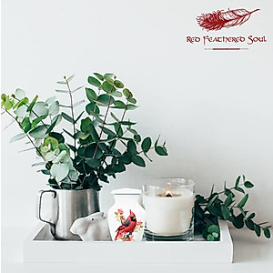 Lola Bella Gifts Cardinal Small Keepsake Memorial Cremation Urn and Red Feathered Soul Poem Card with Box Grief Sympathy Gift