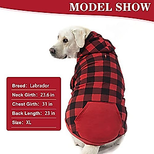 EXPAWLORER Plaid Dog Hoodie - British Style Soft and Warm Dog Sweater with Leash Hole, Hooded Cold Weather Clothes, Dog Sweatshirt, Outfits, Winter Coat for Small Medium Large Dogs