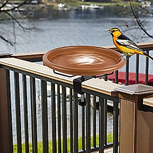 yosager Bird Bath Deck Bowl Spa Mount Bird Bath Unheated with Lightweight Detachable, Oriole Drinking Feeder, Adjustable Heavy Duty Sturdy Steel, Great for Attracting Birds