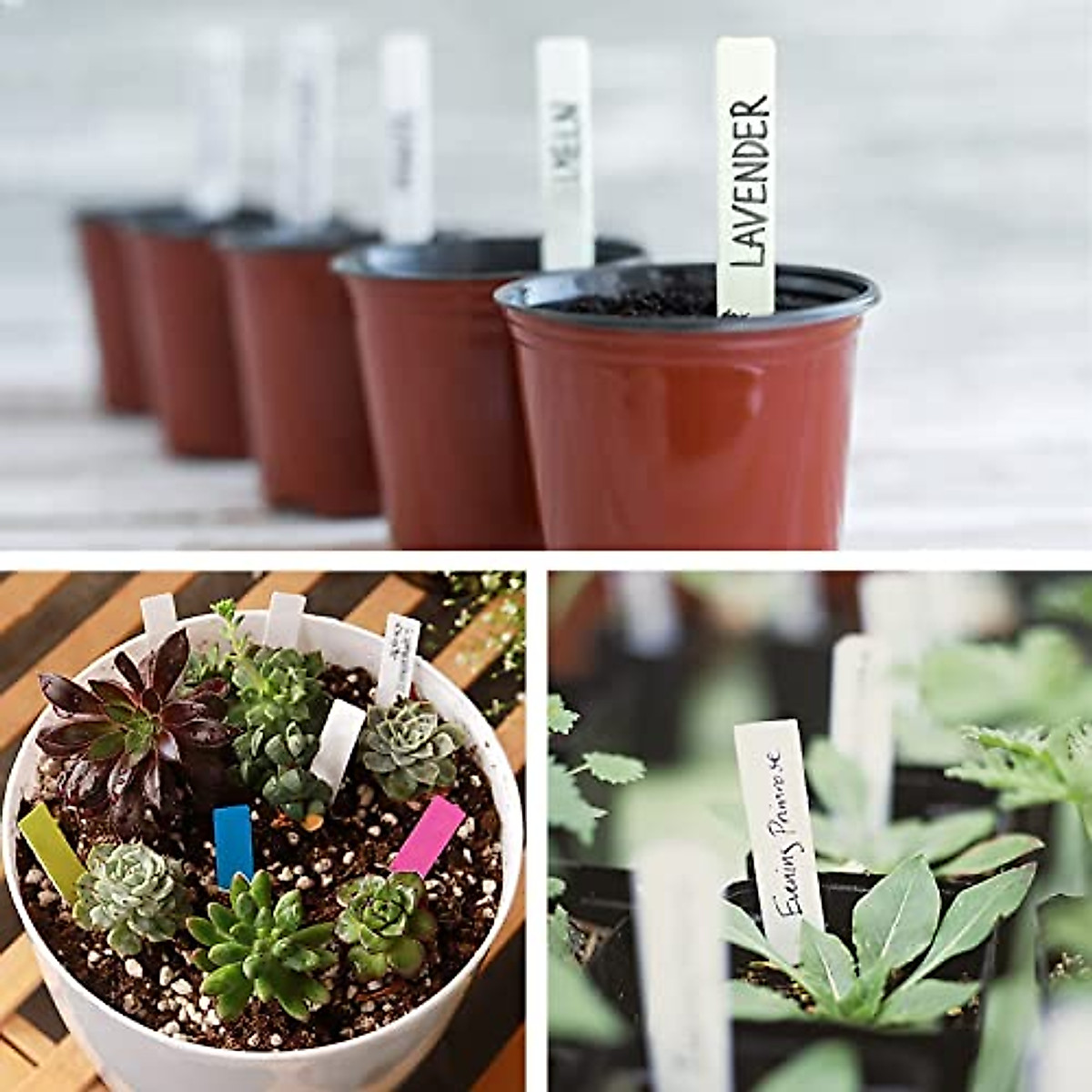 1000 Waterproof Plant Labels for Outdoor Garden + Pens
