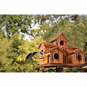 COLEBA Bird Houses for Outside,Outdoor 5 Hole Bird House Room for 5 Bird Families Bluebird Finch Cardinals Hanging Birdhouse for Garden (Brown - Set of 1)