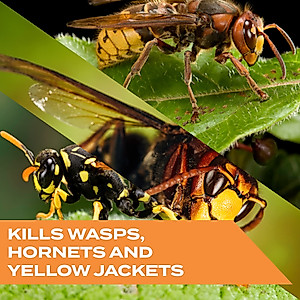 Stem Kills Wasps, Hornets And Yellow Jackets: Plant-Based Active Ingredient Bug Spray, Botanical Insecticide For Outdoor Use; 10 fl oz (Pack Of 1)
