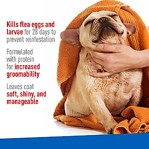 Adams Plus Flea & Tick Foaming Shampoo & Wash for Dogs & Puppies Over 12 Weeks | Sensitive Skin Flea Treatment for Dogs and Puppies | Kills Adult Fleas, Ticks, and Lice On Contact | 10 Oz