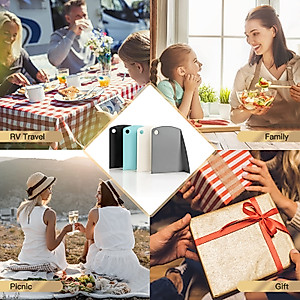 VACCARO Plastic Cutting Boards with Edge Design, Easy to Grip Handle and Transfer Food, Dishwasher Safe, 4 Pcs Chopping Mats, Prevents the mixing of flavors from different food types, BPA Free