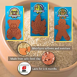 Brown Sugar Bear Brown Sugar Keeper Softener Canister and Containers Moisture Absorbers Bundle