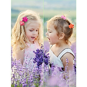 WILLBOND 100 Pieces Girls Hair Barrettes Self Hinge Plastic Clip Toddler Kids Baby 80s 90s Clip Colorful Cute Cartoon Hair Pin Accessories(Butterfly, Plum Blossom, Bow, Heart-shaped)