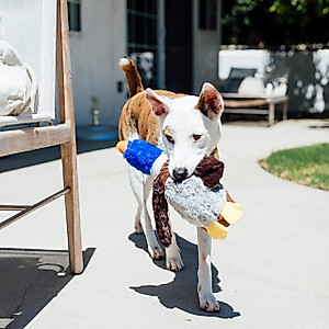 Outward Hound Flapperz Plush Crinkle Duck Dog Toy, 2-Pack - Grunt, Crinkle & Flop, Small