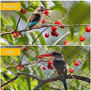 Bird Netting 25'x50' with 2.4" Square Mesh Garden Netting Bird Net for Chicken Coop, Poultry Netting Heavy Duty Nylon Netting for Garden, Aviary, Pests, Deer Fence Chicken Netting Fruit Tree Netting