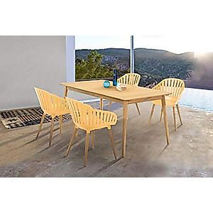 Armen Living Nassau Outdoor Patio Arm Dining Chairs, 17" Seat Height, Set of 2, Eucalyptus and Honey Yellow