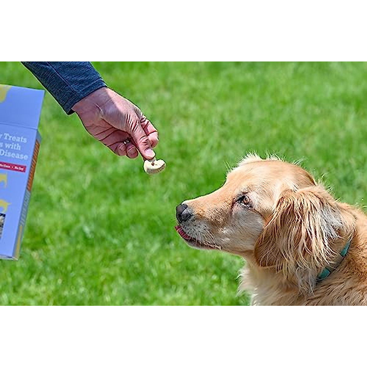 Mattie's Treats: 1 Pound Box; Low Protein, Low Phosphorus, Low Sodium Dog Treats