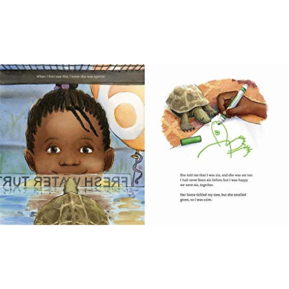 Alfie: (The Turtle That Disappeared)