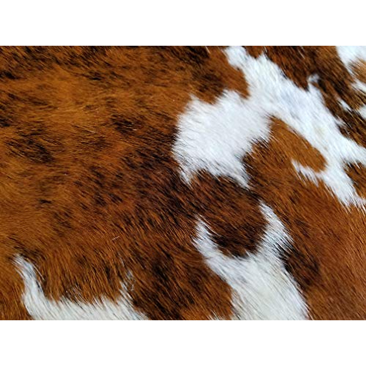 Brindle White Belly Cowhide Rug Cow Hide Skin Leather Area Rug: Large