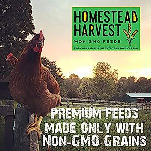 Homestead Harvest Non-GMO Whole Grain Layer Blend 16% for Laying Hens or Ducks 25lb
