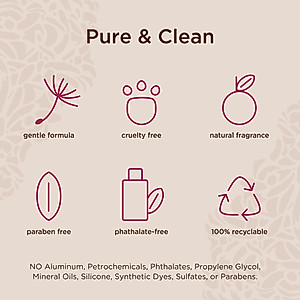 Lavanila Pure Vanilla Perfume for Women, 0.32 oz Roller-Ball - Pure Madagascar Vanilla & Creamy Tonka Bean, The Healthy Fragrance, Clean and Natural