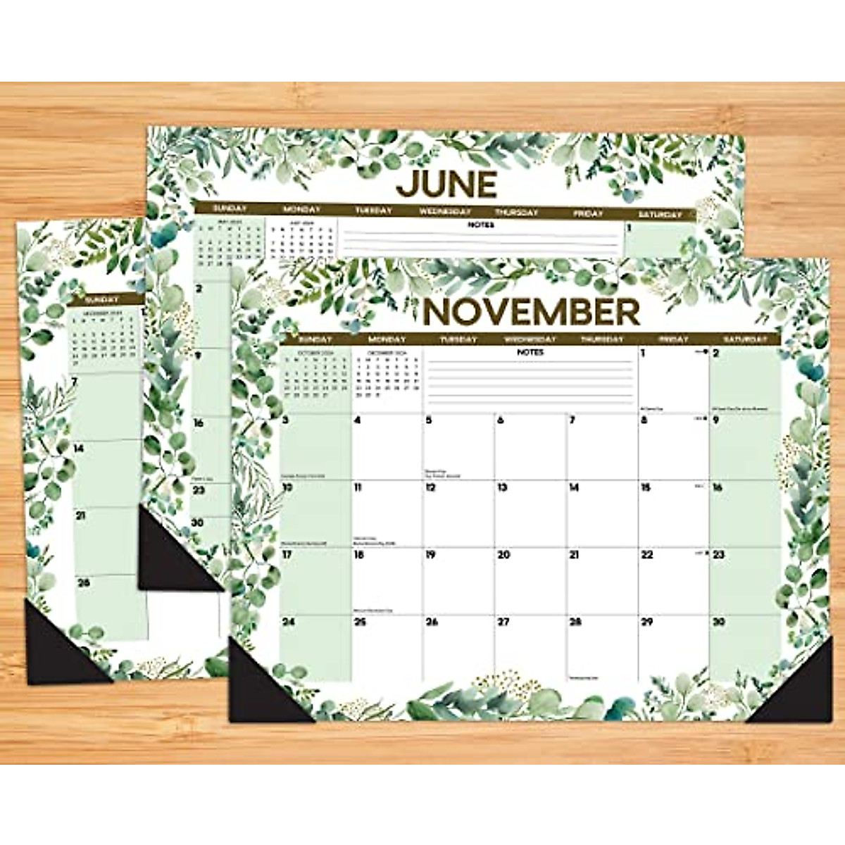 Willow Creek Press Eucalyptus & Succulents Monthly 2024 Deskpad Calendar (22" x 17")