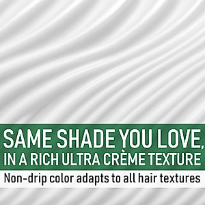 Garnier Hair Color Nutrisse Nourishing Creme, 93 Light Golden Blonde (Honey Butter) Permanent Hair Dye, 2 Count (Packaging May Vary)