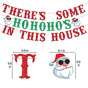Funny Christmas Glitter Banner There's Some Ho Ho Hos in This House Banner Balloons Decorations for Winter Merry Xmas Background Baby Shower Decoration Photo Booth Props